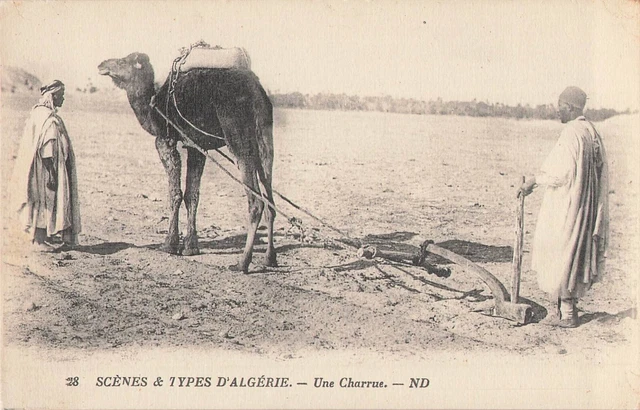 CP SCENES ET Types D'algerie Une Charrue EUR 1,30 - PicClick FR