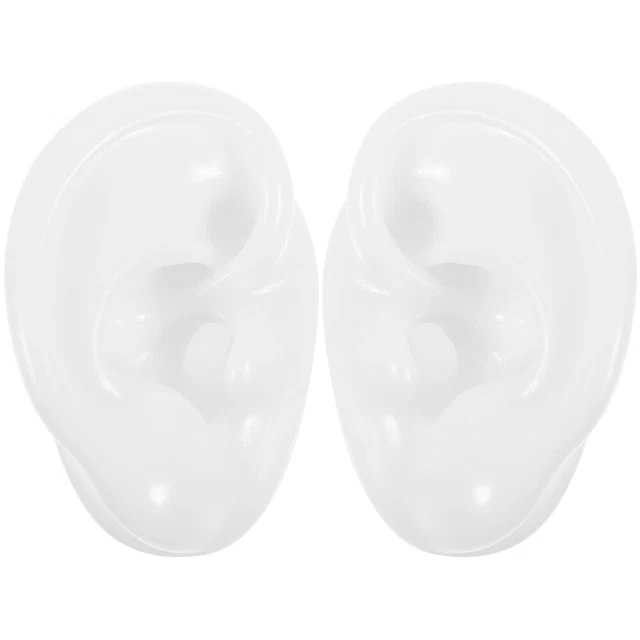 PRACTICE MODEL HUMAN Ear Model Ear Display Model Experiment Model ...