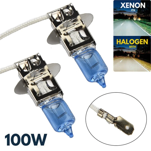 CAR BULB 100W 12v 453 Socket H3 Halogen Headlight Spotlight Xenon Look ...