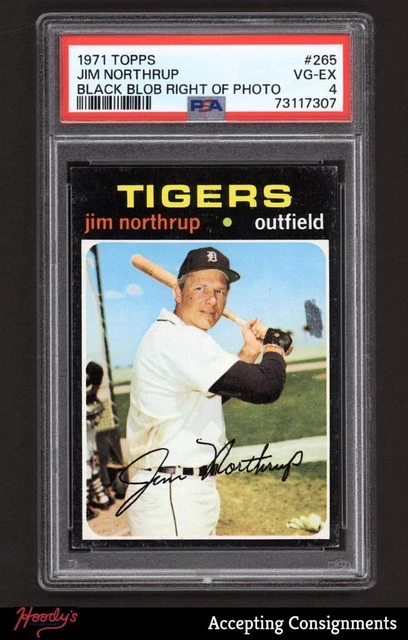 1971 TOPPS #265 Jim Northrup PSA 4 VG-EX TIGRES blob noir EUR 0,91 ...