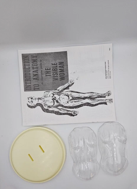 SKILLCRAFT VISIBLE WOMAN 74623 Human Body Model Kit *Partially ...