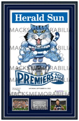 2022 GEELONG CATS Mark Knight Afl Grand Final Poster Matted Framed $134 ...
