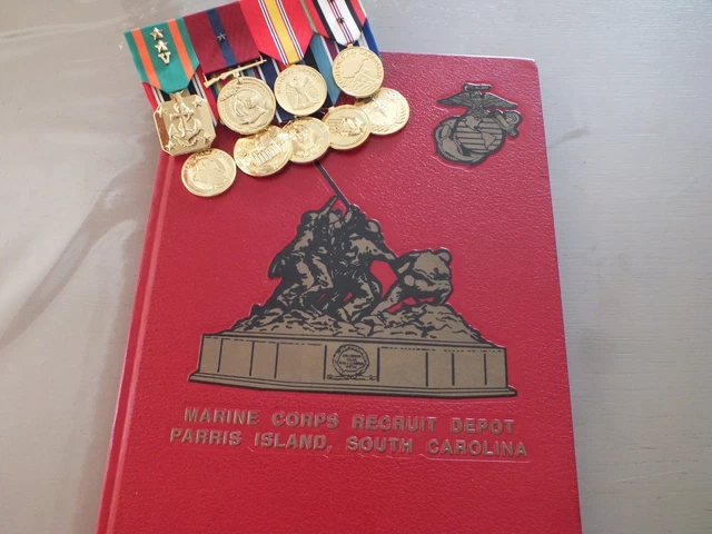 PLACARD MEDAILLES USMC Marine Corps Livres Book Photos EUR 56,00 ...