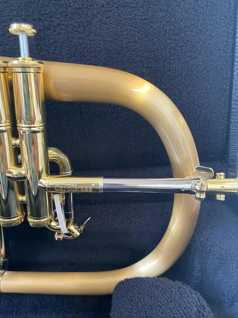 Neuf Carol Brass Cfl 6200 Gss Bb Slb Flugelhorn Cloche Laquée Satinée Eur 171769 Picclick Fr