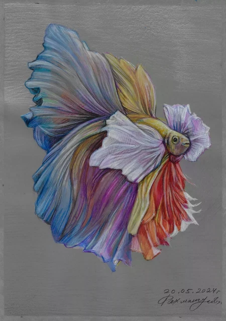 POISSON COMBATTANT BLEU blanc rouge dessin original A3 au crayon ...