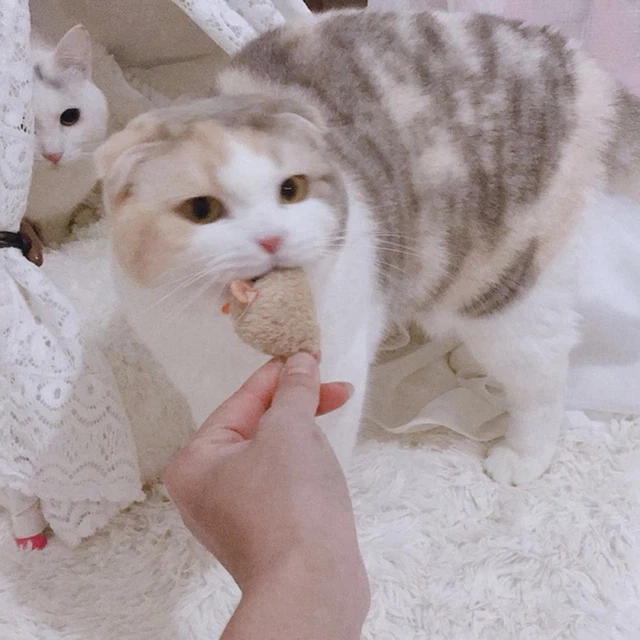 3 PCS PLUSH Cat Toy Mouse Simulation Mice Toys Long Tail Pet Toys for ...