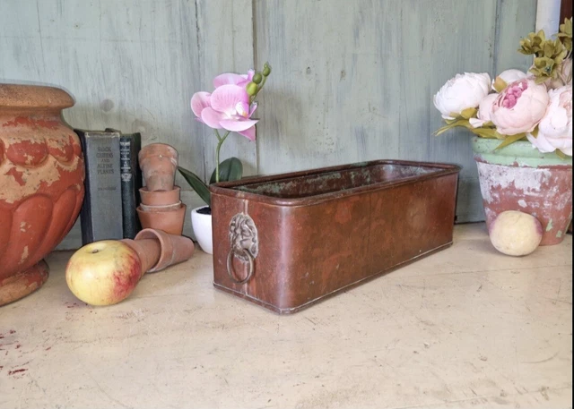 EARLY 20TH CENTURY Copper Trough With Brass Lion Head Handles ...