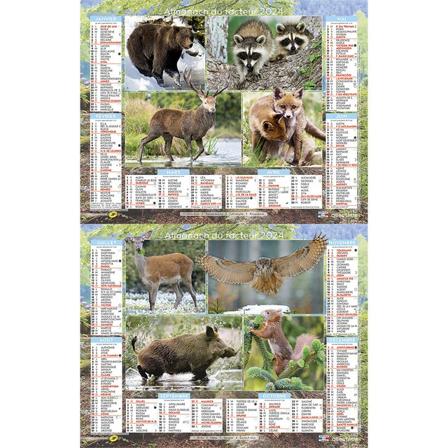 CALENDRIER DE LA Poste 2024, Almanach du facteur, animaux de la forêt ...
