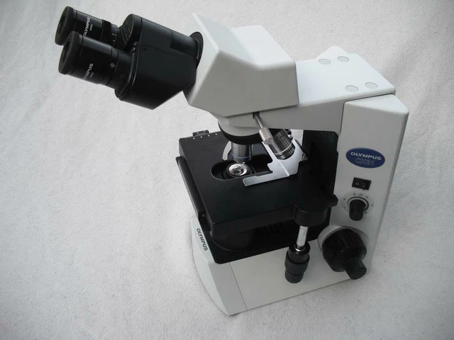 OLYMPUS CX31 MICROSCOPE 4 Plan C Objectives Mikroskop WHK 10x/20 L ...