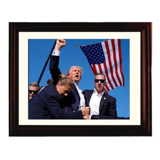 SURVIVING PRESIDENT ELECTION 2024 Photo Frame for Home & Office Decor ...