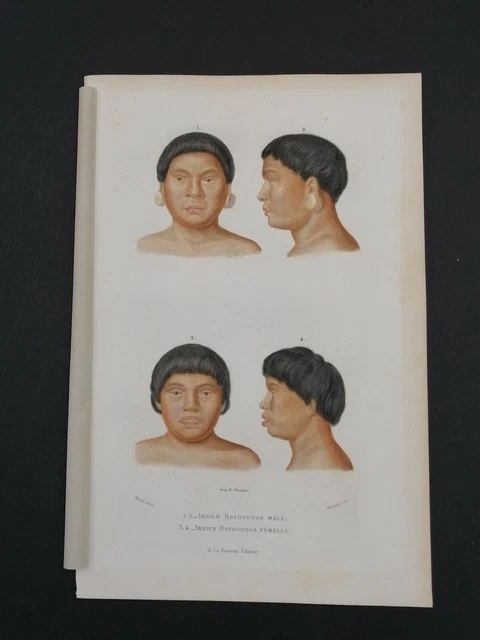 19TH CENTURY ORBIGNY Engraving Human Werner Drawing 19th Century £13.48 ...