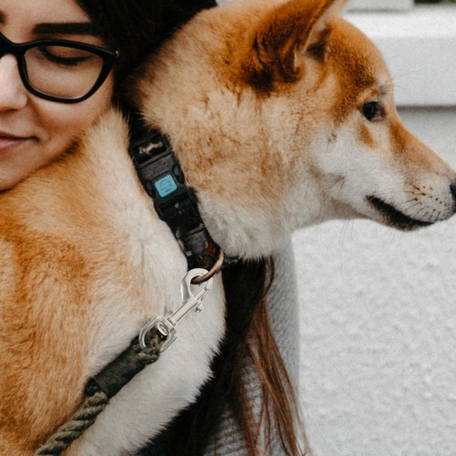 2 PCS SWIVEL Hole Bolt Spring Hook Outdoor Hooks Stainless Steel Snap ...