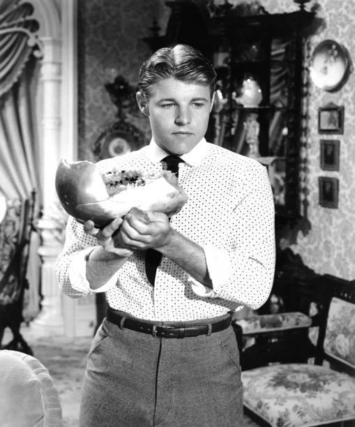 ACTOR DAVID NELSON Poses For A Publicity Shot 1 1958 Old Photo EUR 6,59 - PicClick FR