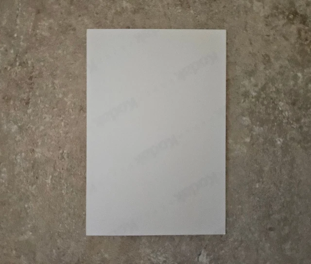 ORIGINAL MONSTER WRESTLERS In My Pocket 90s PHOTO UNRELEASED Prototypes ...