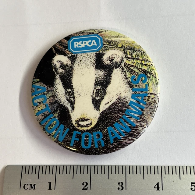 COLLECTIBLE PIN BADGE RSPCA Action for Animals Badger £4.99 - PicClick UK