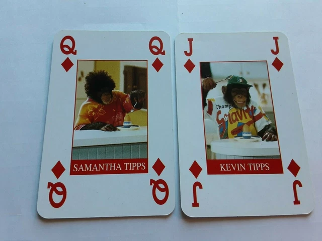 VINTAGE PG TIPS Tipps Family Trick Playing Cards Chimps £3.00 - PicClick UK