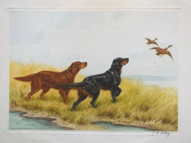 GEORGES FREDERIC RÖTIG - tirage signé - Setters et canards Paris ...