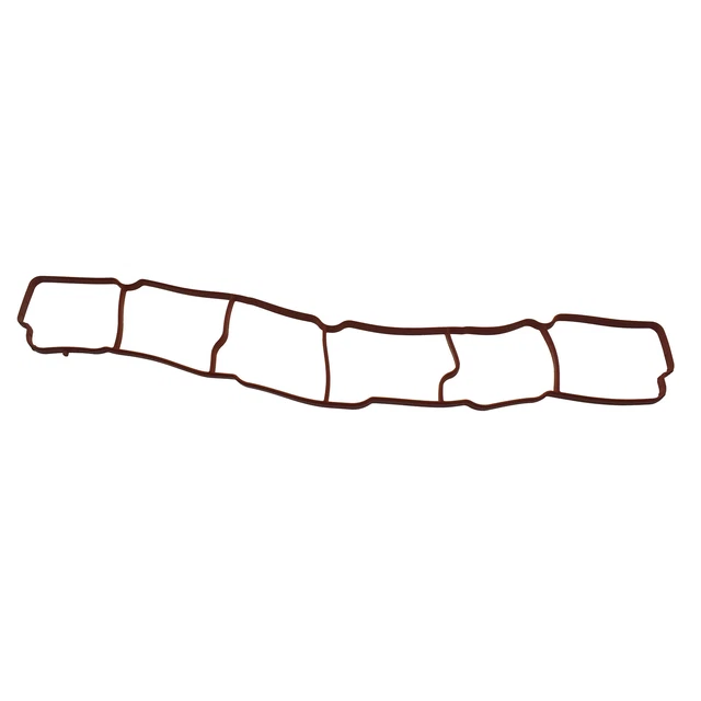 ENGINE INTAKE MANIFOLD Gasket For Audi Q7 VW CC Passat Touareg 3.6L ...