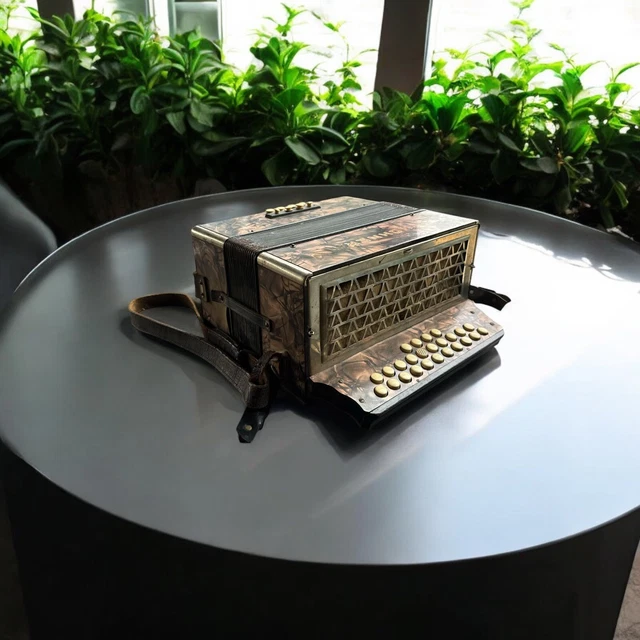 ANCIEN HOHNER BOUTON Boîte Accordéon Diatonique Musical Instrument ...