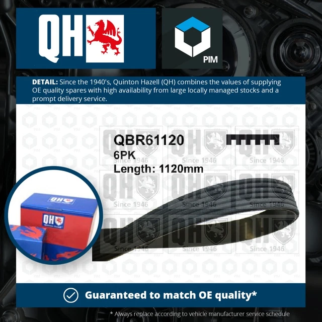 6 RIB MULTI V Drive Belt fits VW CADDY Mk2, Mk3 1.6 96 to 10 QH ...