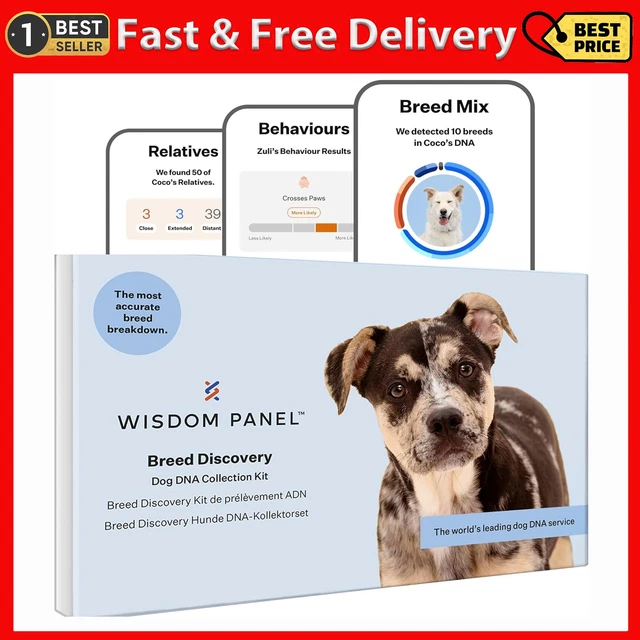 WISDOM PANEL BREED Discovery Dog DNA Test Kit - Most Accurate Breed ID ...