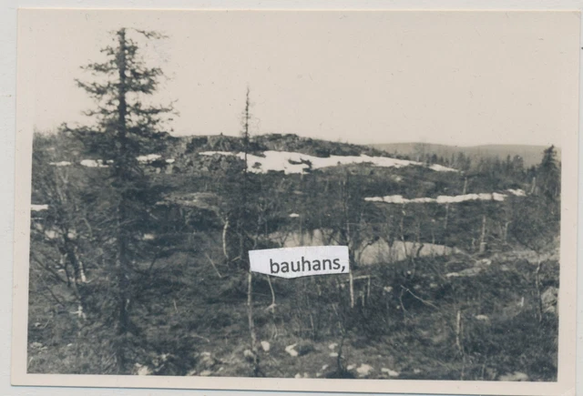 FOTO AUS GEBIRGSJÄGER-NACHLASS 2. Gebirgs-Jäger-Division (9769x) EUR 4 ...