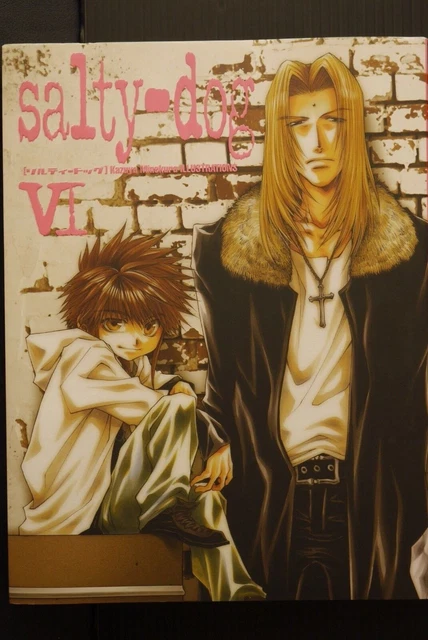 JAPON KAZUYA MINEKURA Illustrations : salty-dog VI (Saiyuki Reload etc ...