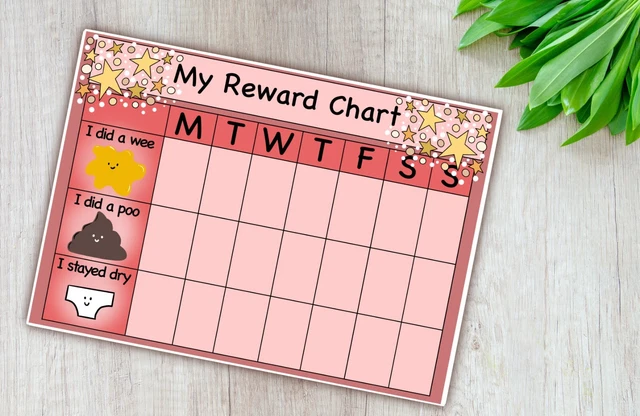 HANDMADE A4, REWARD Chart, POTTY TRAINING, reusable, Laminated, wipe ...