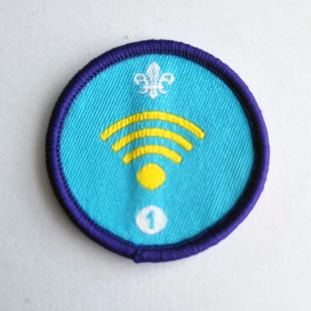 UK SCOUTS DIGITAL Citizen Stage 1 Activity Badge (with old logo) £1.37 ...