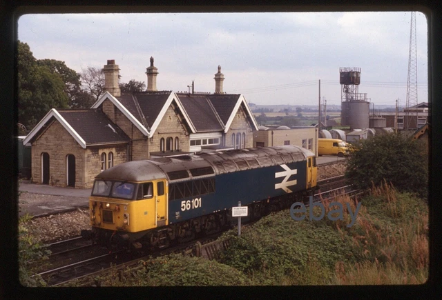 ORIGINAL 35MM SLIDE - Class 56 - 56101 light at Shirebrook 8.9.82. £3. ...