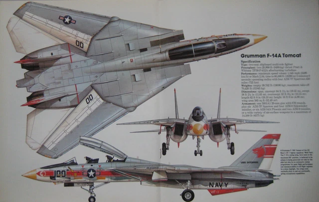 ILLUSTRATED ENCYCLOPEDIA OF Aircraft Issue 5 Grumman F-14 Tomcat ...