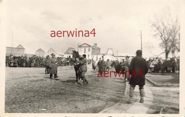 PFERDEMUSTERUNG MIT BAUERN auf zerstörten Markt Wolozyn Belarus ...