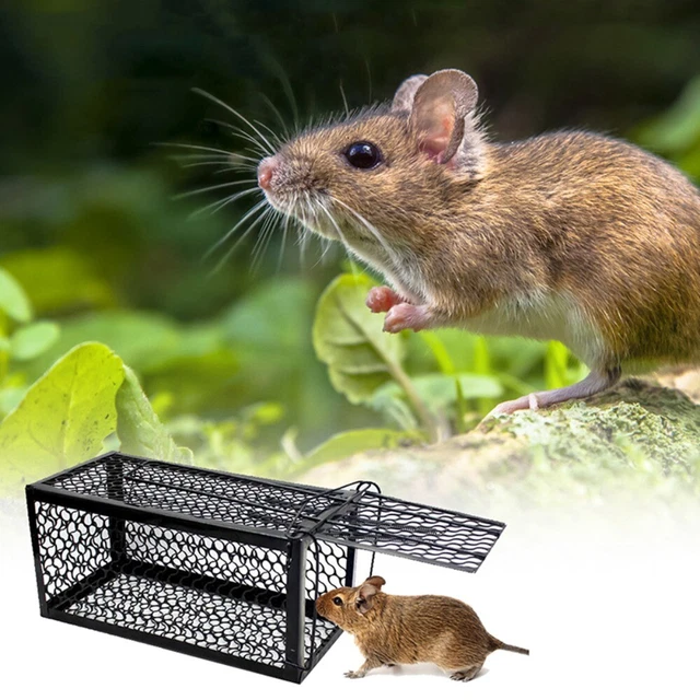 ANIMAL CONTROL MICE Trap Cage Rodents Trap Mouse Catcher Self-locking ...