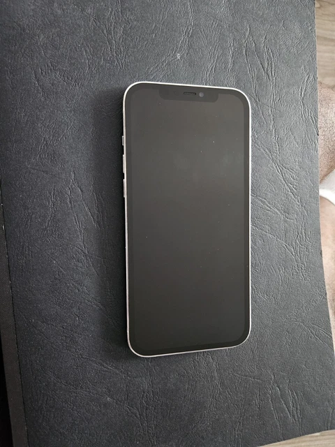 APPLE IPHONE 12 Pro Max - 128 Go - Graphite (Déverrouillé) EUR 200,00 ...