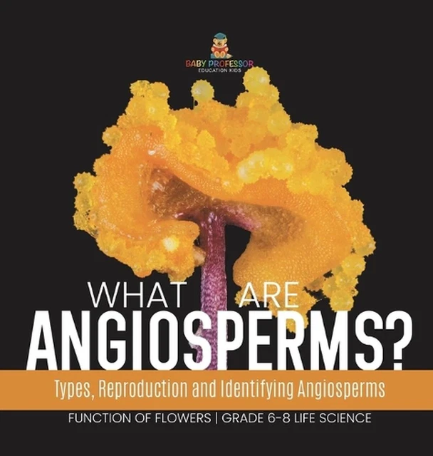 WHAT ARE ANGIOSPERMS? Types, Reproduction and Identifying Angiosperms ...
