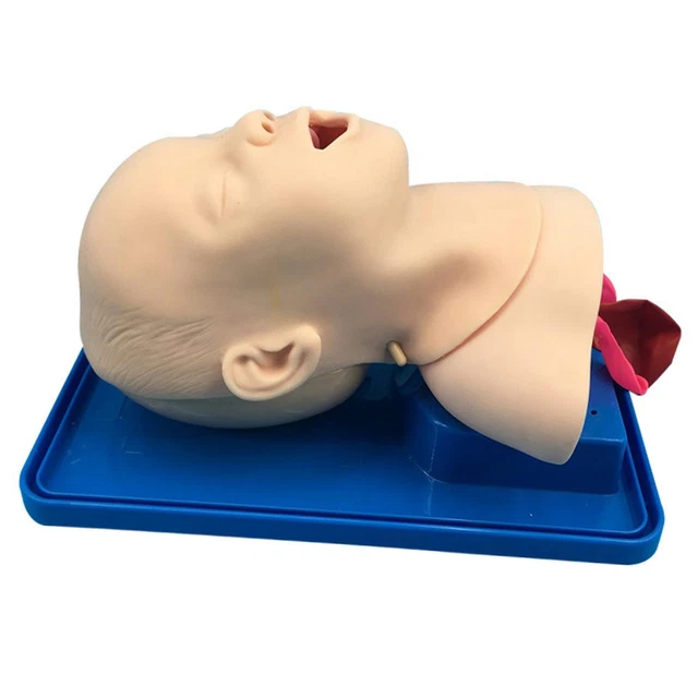 PEDIATRIC INTUBATION MANIKIN Tracheal Child Infant Airway Management ...