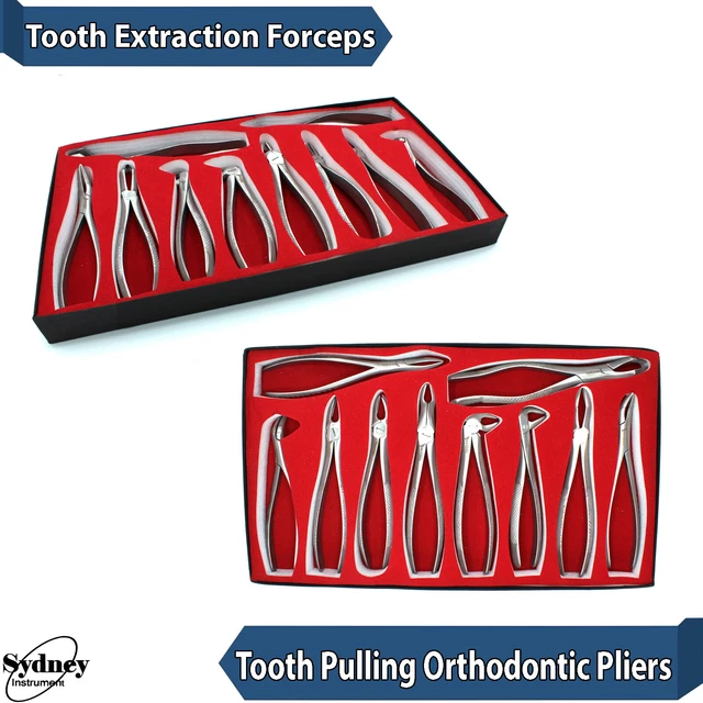 DENTAL TOOTH EXTRACTION Forceps Upper Lower Third Molar Wisdom Teeth ...