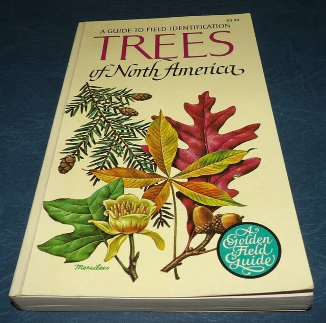 GOLDEN A GUIDE to Field Identification Trees of North America Brockman ...