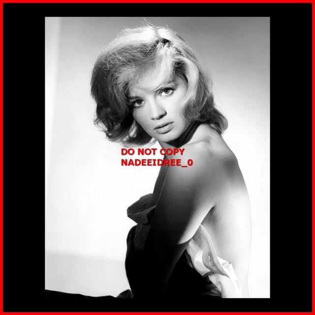 Angie Dickinson American Actress Legendary Sexy Hot Pin Up Great Rare
