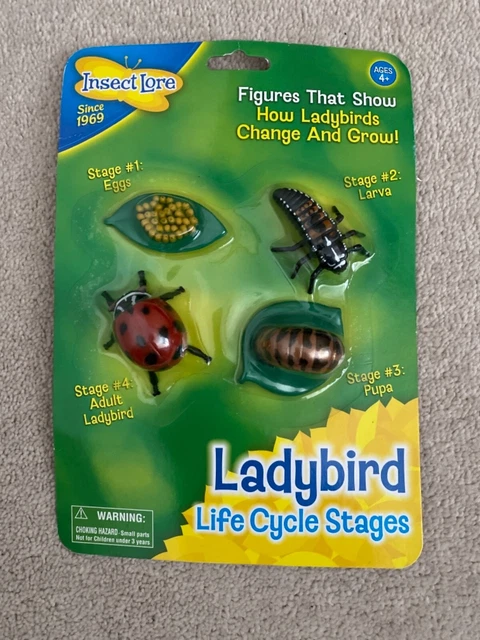 INSECT LORE LADYBIRD Ladybug Life Cycle Figures age 4+ yrs £7.00 ...