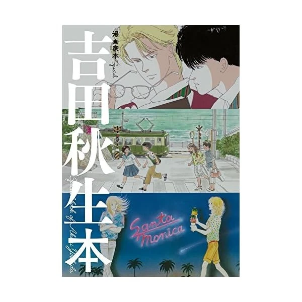 SHOGAKUKAN MANGA ARTIST Book Special Akimi Yoshida Book (Art Book) NEW ...