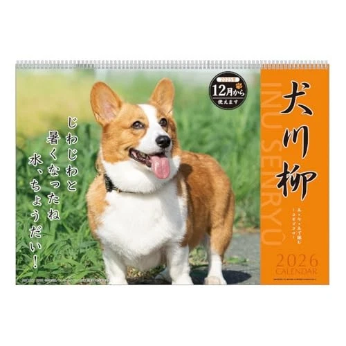 2026 CALENDAR CORGI Senryu £41.50 - PicClick UK