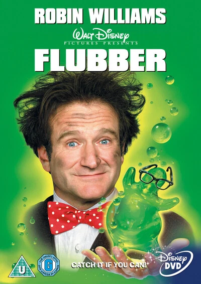 FLUBBER (DVD) WILL Wheaton Raymond J. Barry Dakin Matthews Edie McClurg ...