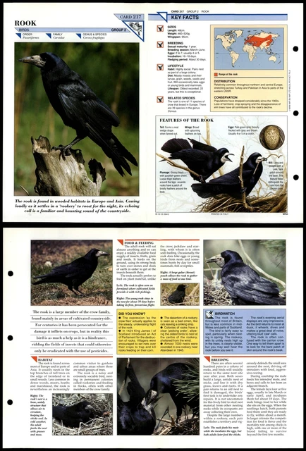 ROOK #217 BIRDS Wildlife Fact File Fold-Out Card £1.99 - PicClick UK