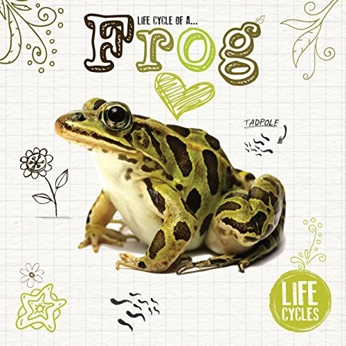 LIFE CYCLE OF a frog (Life Cycles) By Kirsty Holmes £8.85 - PicClick UK