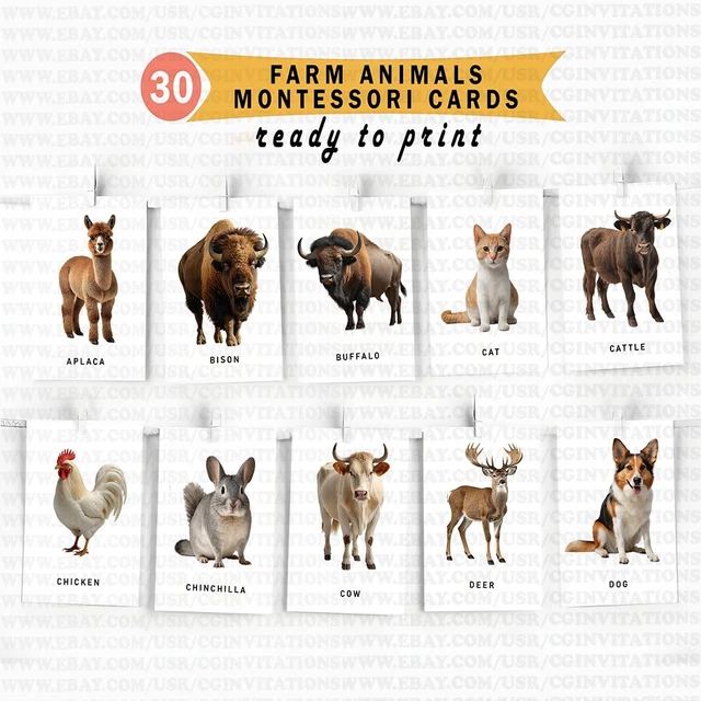 PRINTABLE FARM ANIMALS Flash Cards-Montessori-Inspired 30 Card Set for ...