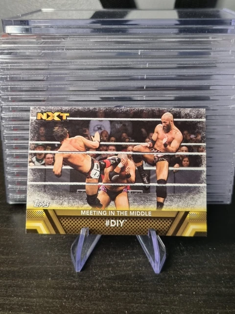 2017 TOPPS WWE Then Now Forever Finishers and Signature Moves #F50 #à faire soi-même EUR 2,21 ...