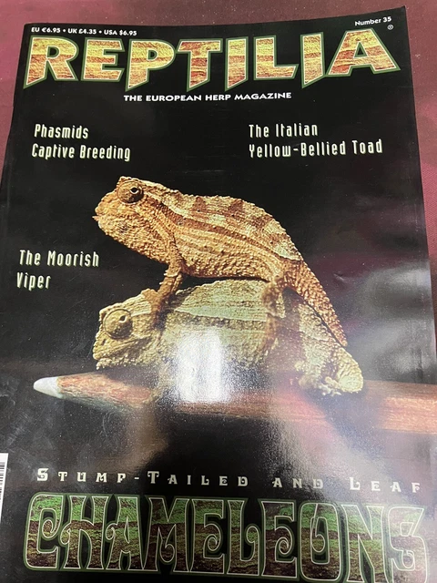 MAGAZINE REPTILIA ISSUE 24 Herpetology Chameleons £2.75 - PicClick UK
