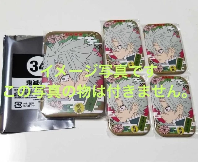DEMON SLAYER KIMETSU no Yaiba Jan Fes Big Can Badge Miya Fushi Rare ...