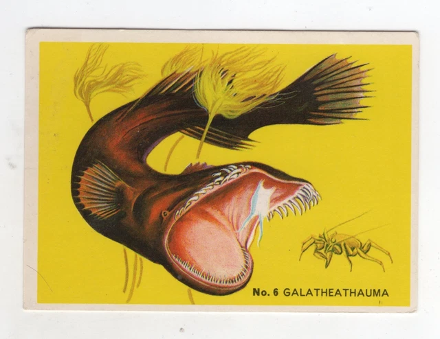 SANITARIUM WEET-BIX DEEP Sea wonders 1965 #06 Galatheathauma $1.94 ...